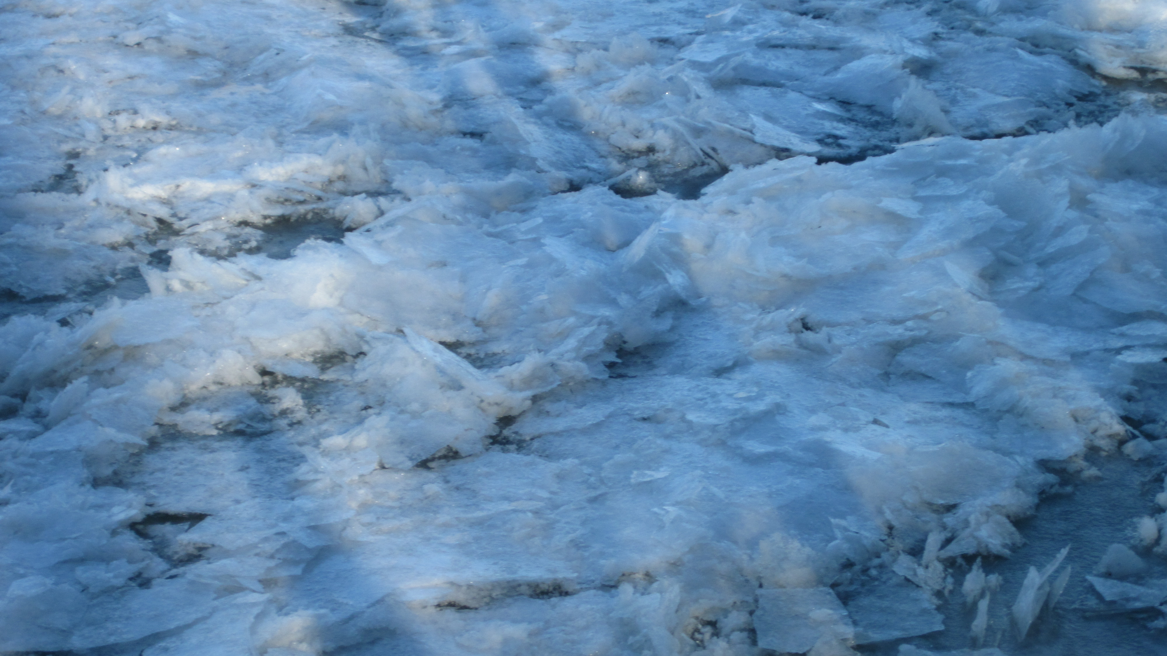 Frozen Potomac River « Chesapeake Bay environment and water quality blog